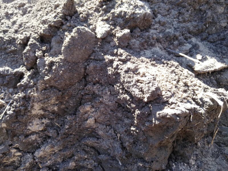 Disturbed Ground. Soil Texture Stock Photo - Image of stones, rural ...