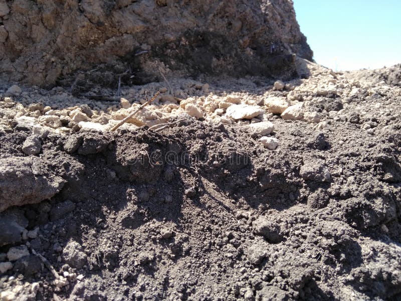 Disturbed Ground. Soil Texture Stock Photo - Image of rural ...