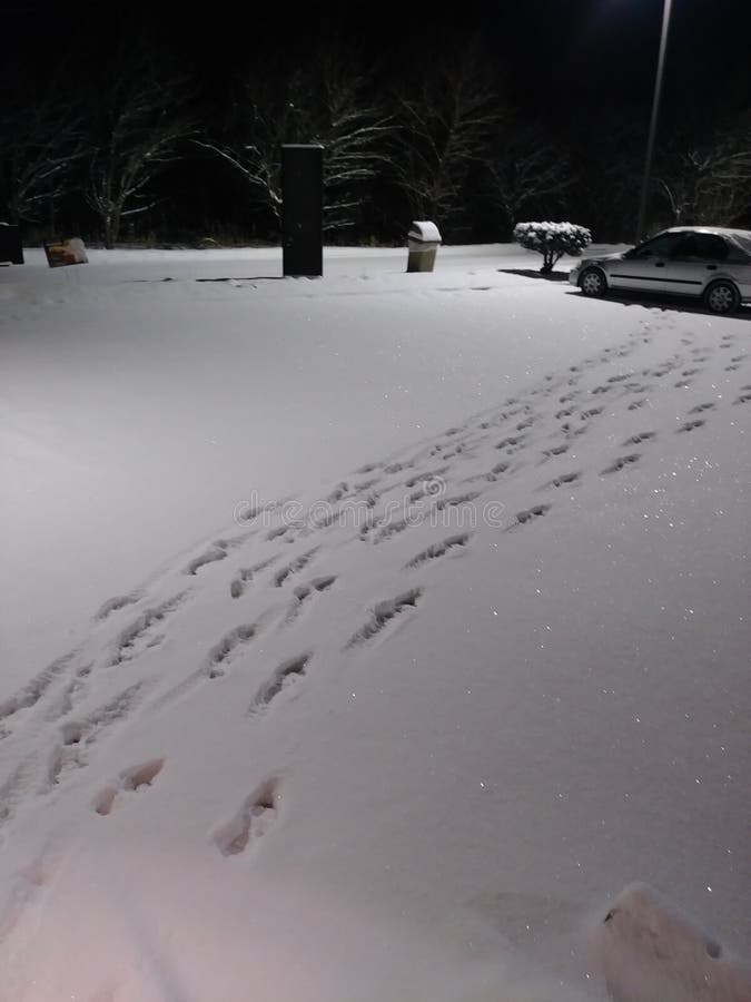 Disturbed Snow on the Ground, Glistening in the Sunlight Stock Image ...