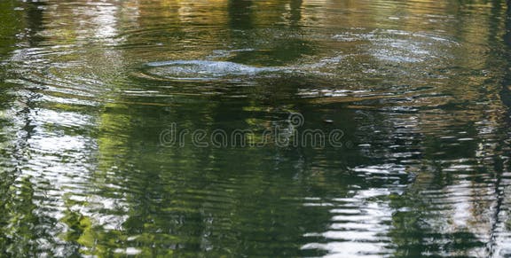 Disturbed Water Surface with Unclear Reflection Stock Photo - Image of ...