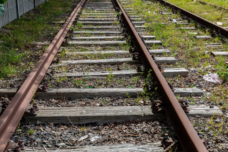 Disused Overgrown Train Track at Birkenhead Docks Wirral August 2019 ...