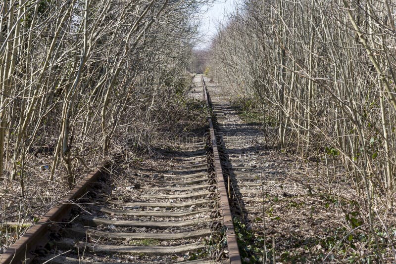 Overgrown Rail Track stock image. Image of travel, rail - 30276139