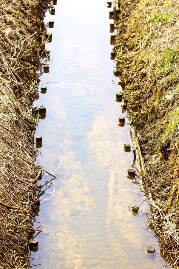 Ditch stock photo. Image of ditches, poluted, polluted - 14493970