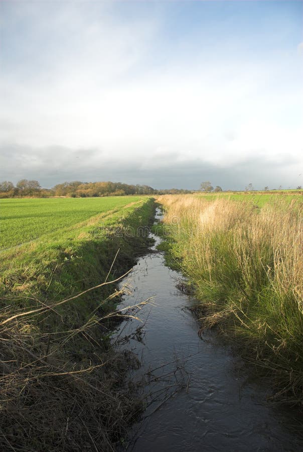 Ditch stock image. Image of pond, grass, landscape, vertical - 23292961