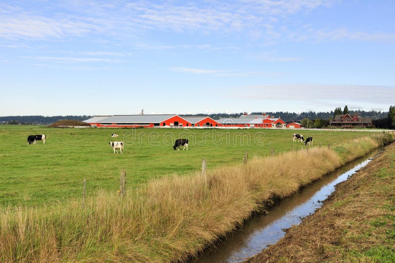 Ditch in a farm field stock image. Image of canada, black - 27955947