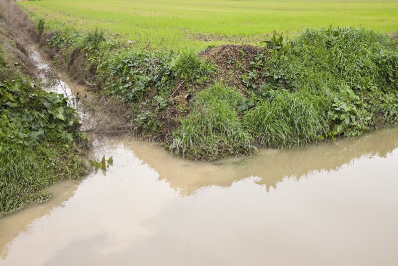 Ditch in a field stock photo. Image of ecosystem, conservation - 44764698