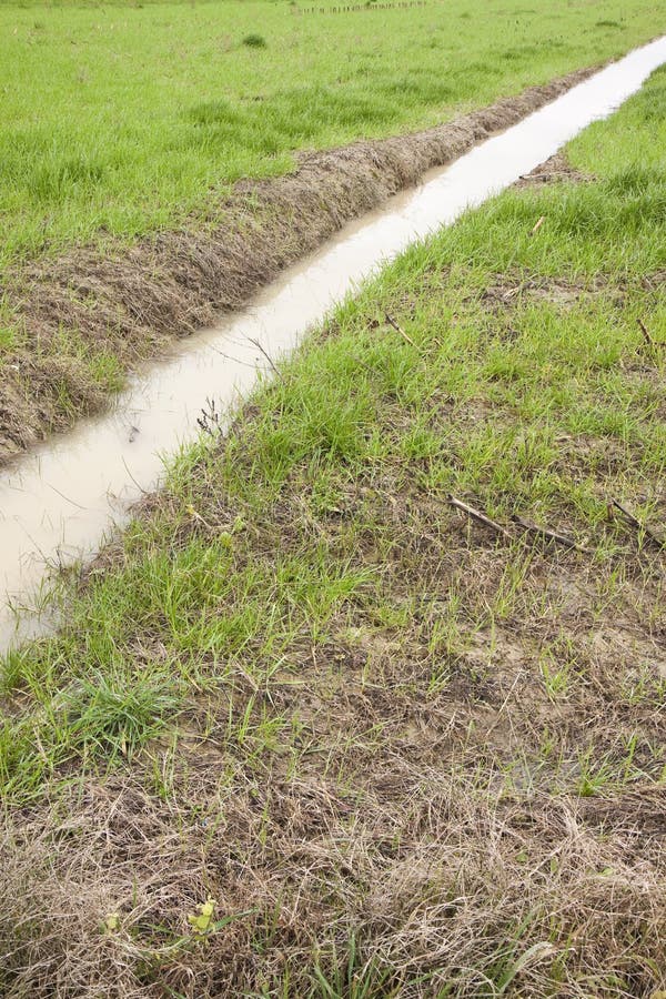 Ditch in a field stock photo. Image of duct, natural - 62859916