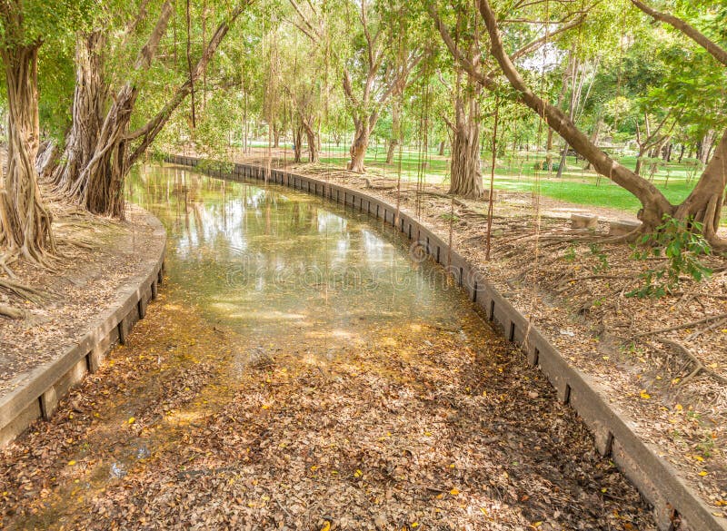 Ditch stock photo. Image of single, grey, farming, outdoor - 67239936