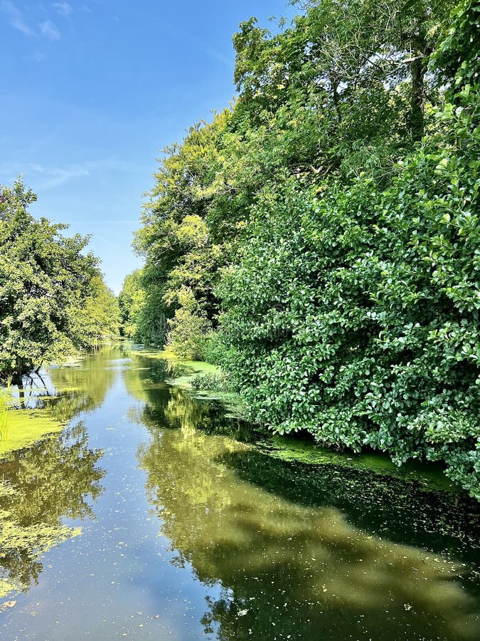 Ditch in a Park in the Netherlands Stock Photo - Image of stream ...