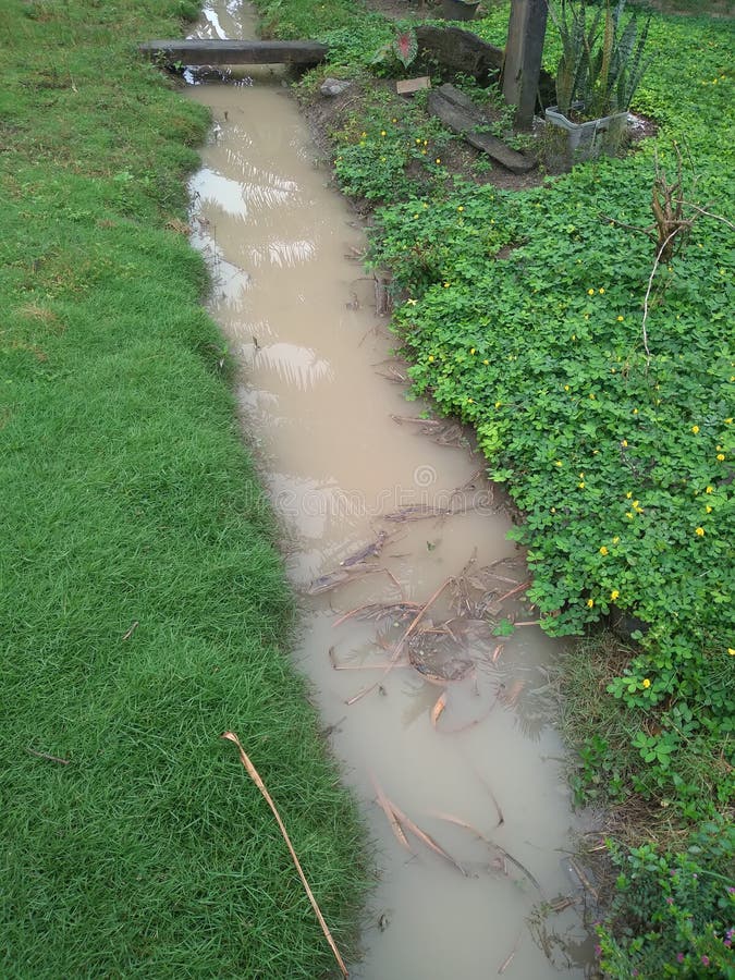 This is a Ditch that Was Hit by Rain Stock Photo - Image of lawn, grass ...