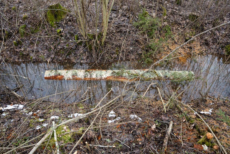 Crop Destroyed Flood Stock Photos - Free & Royalty-Free Stock Photos ...