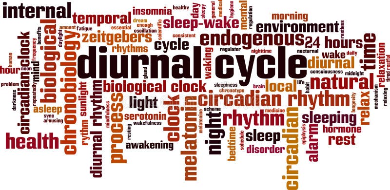 Diurnal cycle word cloud stock vector. Illustration of asleep - 188793431 Diurnal cycle word cloud stock vector. Illustration of asleep - 188793431