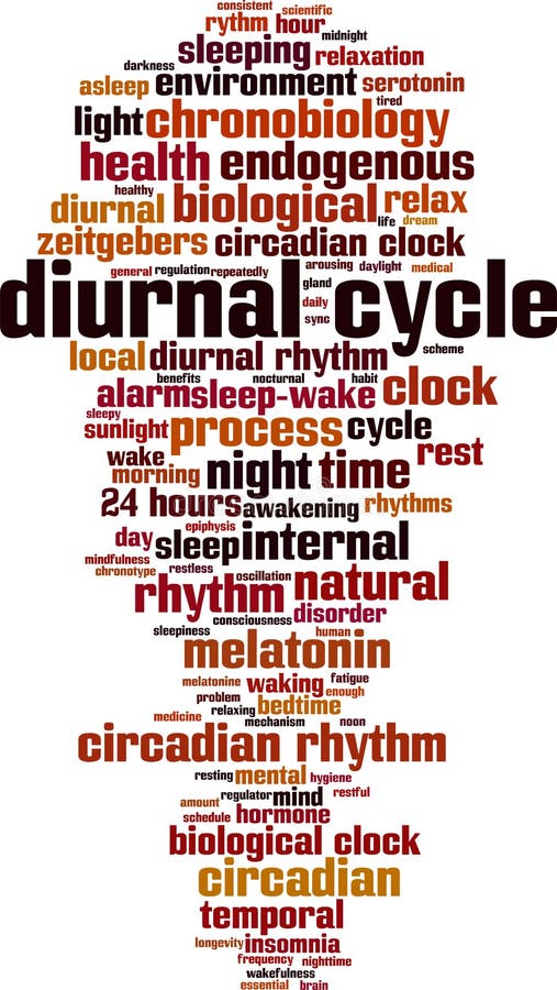 Diurnal cycle word cloud stock vector. Illustration of asleep - 188793431 Diurnal cycle word cloud stock vector. Illustration of asleep - 188793431