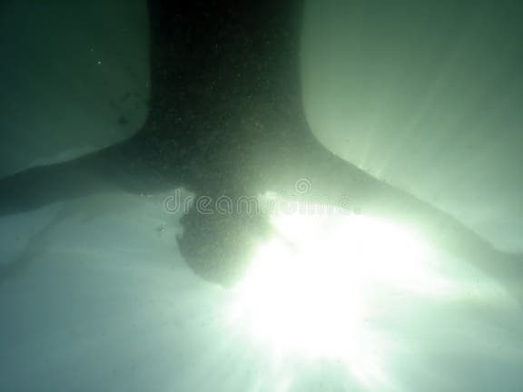 801 Dive Control Stock Photos - Free & Royalty-Free Stock Photos from ...