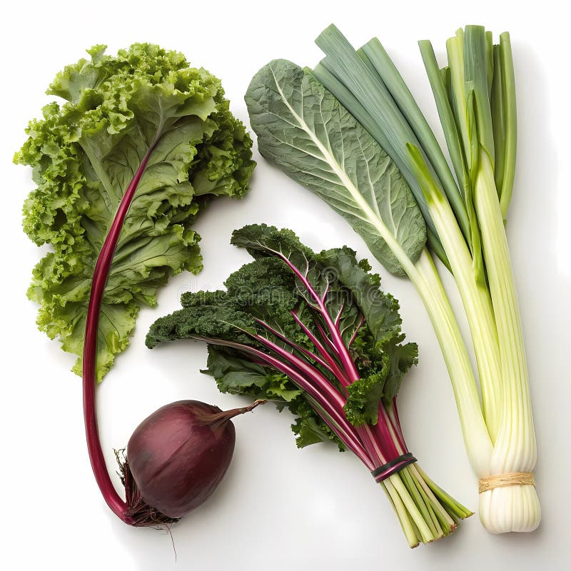 Exploring the World of Vegetables Stock Illustration - Illustration of ...