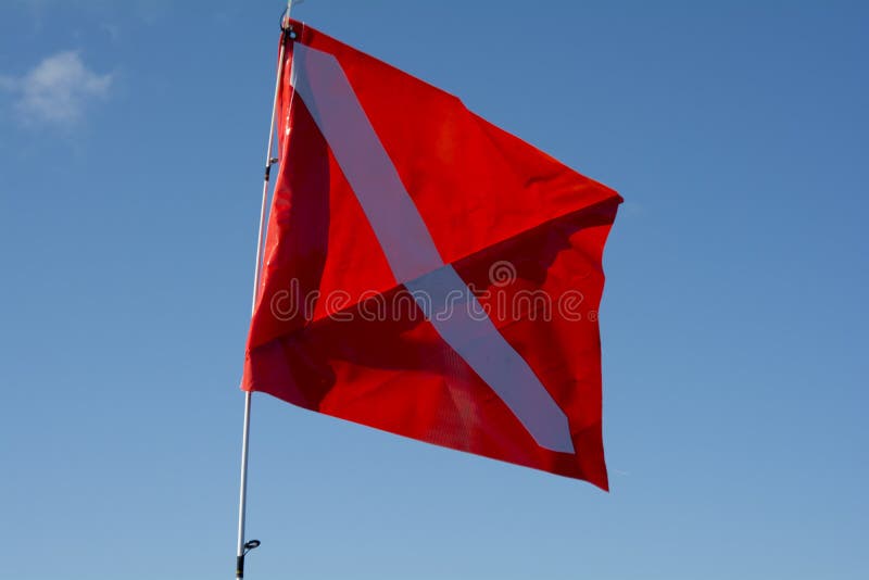 Dive Flag stock photo. Image of underwater, dive, slash - 3326338