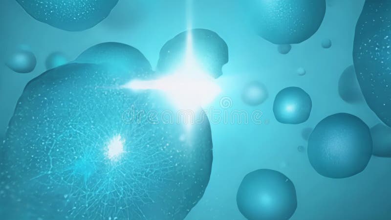 Dive into the World of 3D Representation As Fat Cells are Targeted and ...