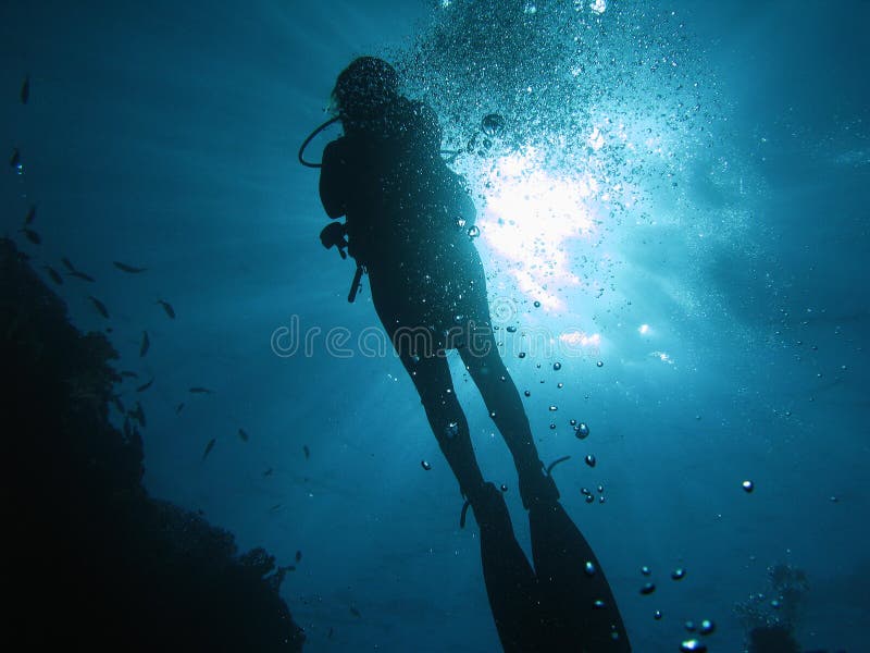 Diver stock photo. Image of abyss, fluid, aqua, blue - 10803842