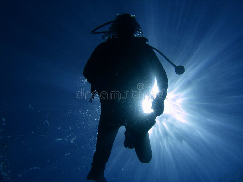 Mermaid and diver stock photo. Image of saltwater, diving - 7768958