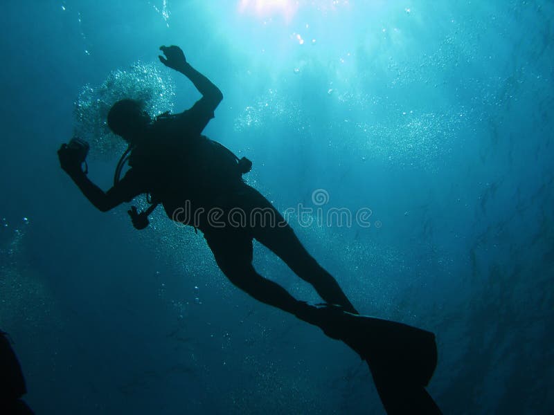 Diver stock photo. Image of abyss, fluid, aqua, blue - 10803842