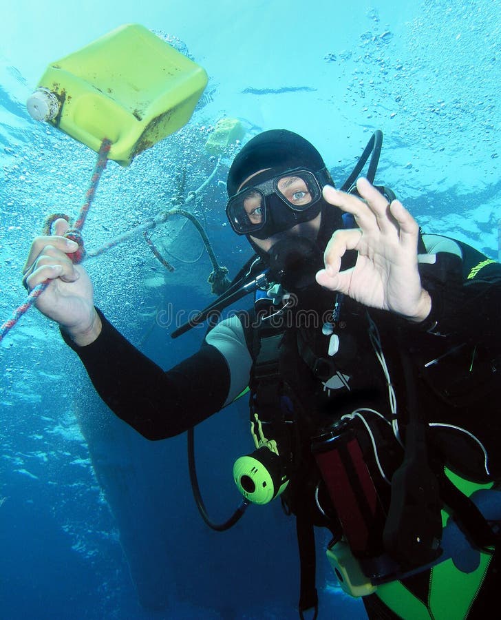 Diver stock photo. Image of divers, animal, peek, extreme - 6667582