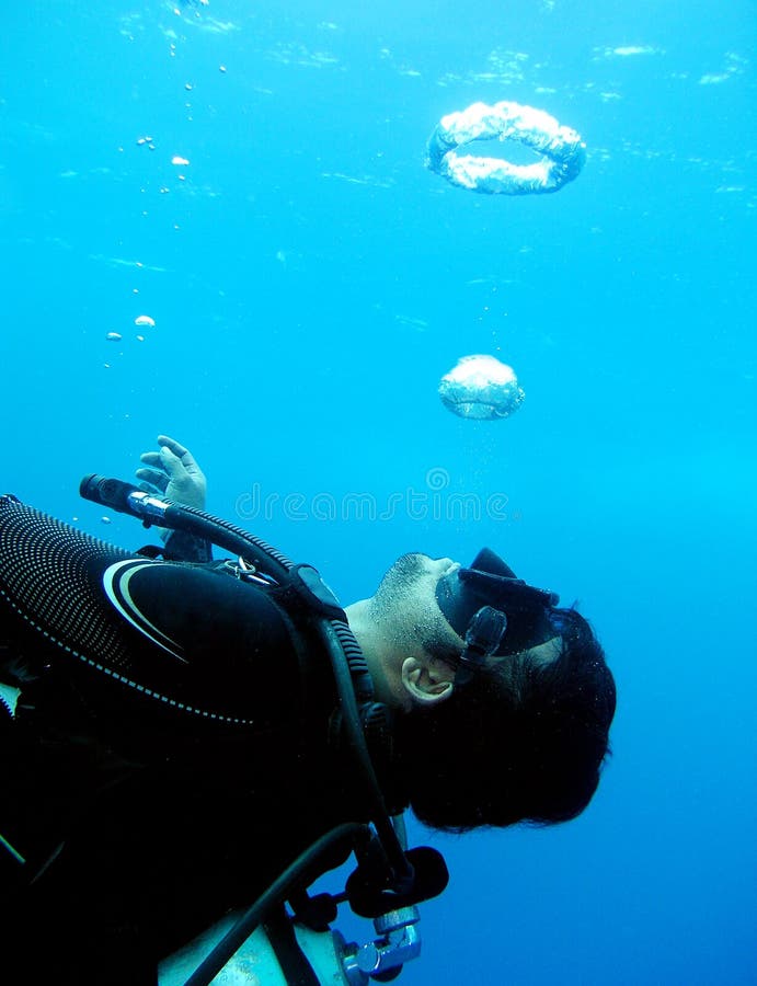 Male Scuba Diver stock image. Image of diving, water, scubadive - 2673533
