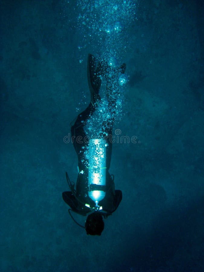 Diver stock photo. Image of biology, documentary, silhouette - 6821872