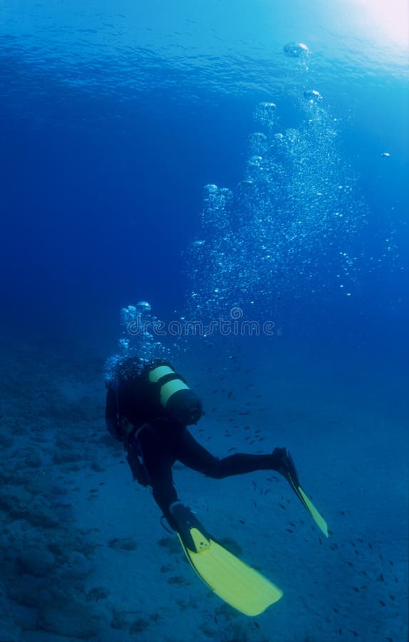 Scuba diving stock image. Image of scuba, equipment, diver - 6221015