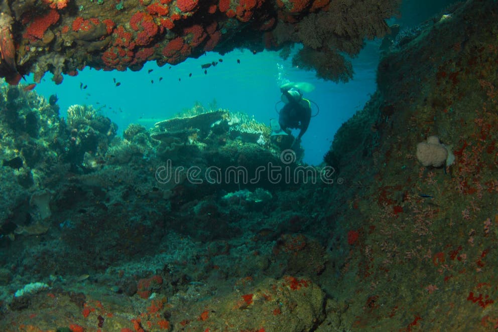 Diver behind the cave stock photo. Image of dive, diving - 23558840
