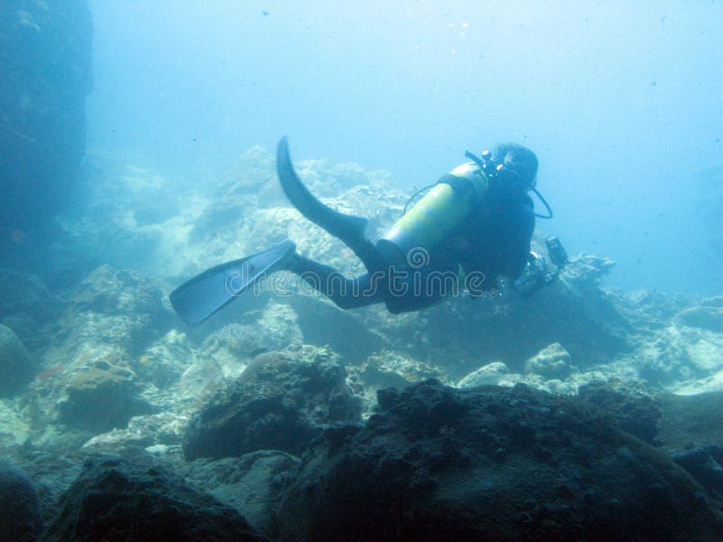 Diver in the blue stock image. Image of diver, water, alone - 1049265