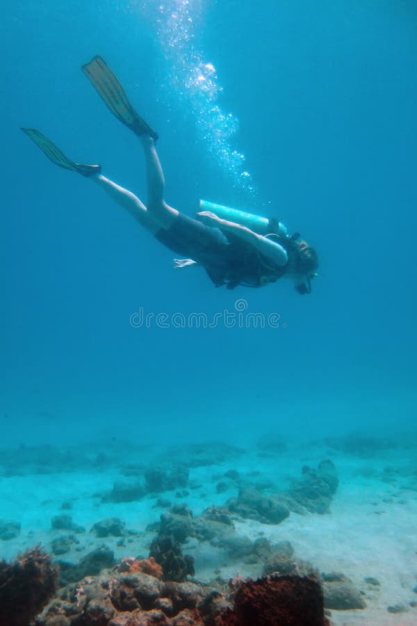Diver at the bottom stock photo. Image of blue, exploration - 3942070