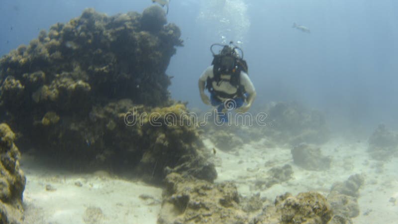 A Diver Communicating through Hand Gestures Stock Footage - Video of ...