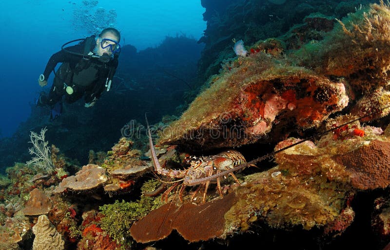 Historic Greek Sponge Diver Editorial Photo - Image of states, diver ...