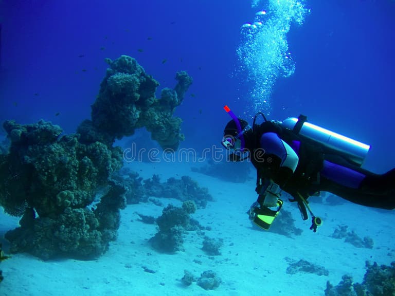 Diver in deep stock image. Image of close, relaxation - 2801815