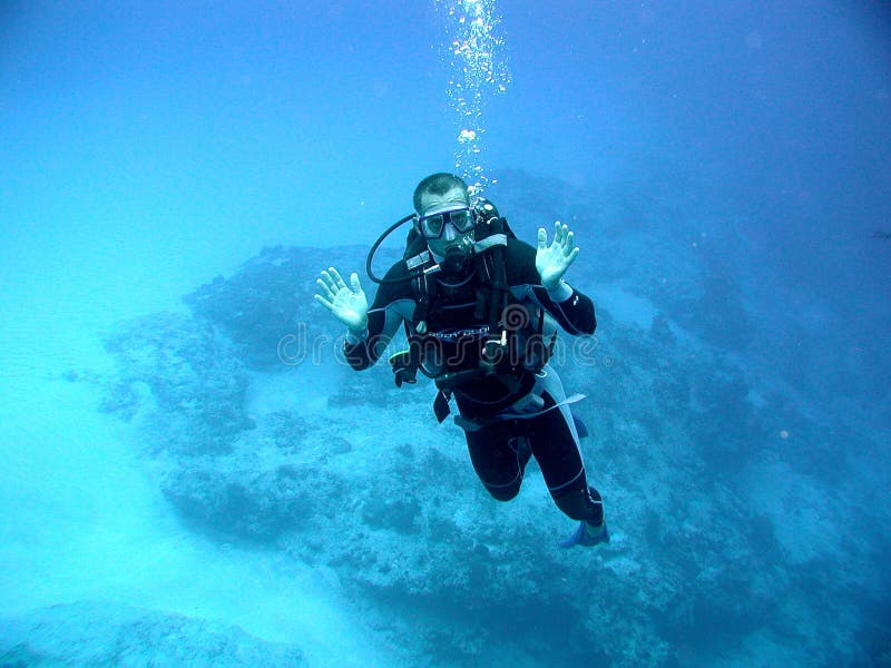Diver in Deep Blue stock photo. Image of holiday, blue - 7821520