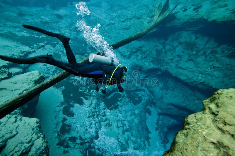 American Eel Above - Morrison Springs Cavern Stock Image - Image of ...