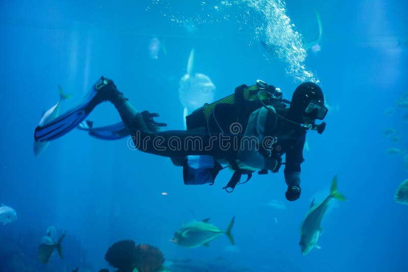 Diver Diving with a Scuba Set Stock Image - Image of scuba, diving ...