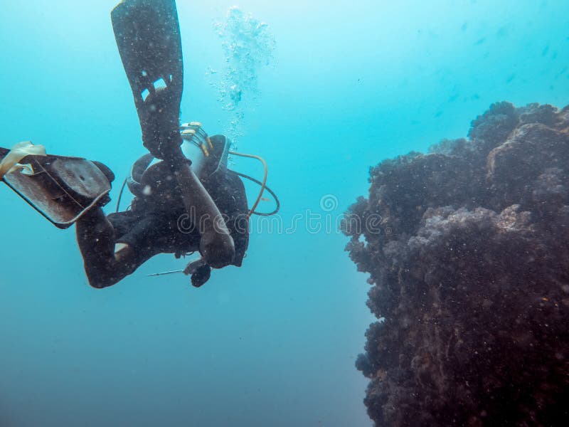 Diver is Diving in the Sea, Myanmar Editorial Photography - Image of ...
