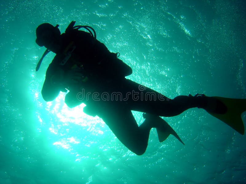 Male Scuba Diver stock image. Image of diving, water, scubadive - 2673533