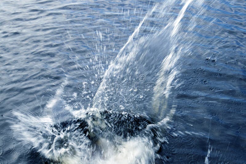 Diver Entering the Water with Big Splash and Bubbles Stock Photo ...