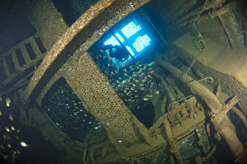 Diver Exploring Inside a Shipwreck Stock Image - Image of wreck, travel ...