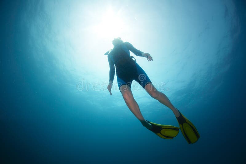 Diver stock photo. Image of sporty, pure, underwater - 45766654