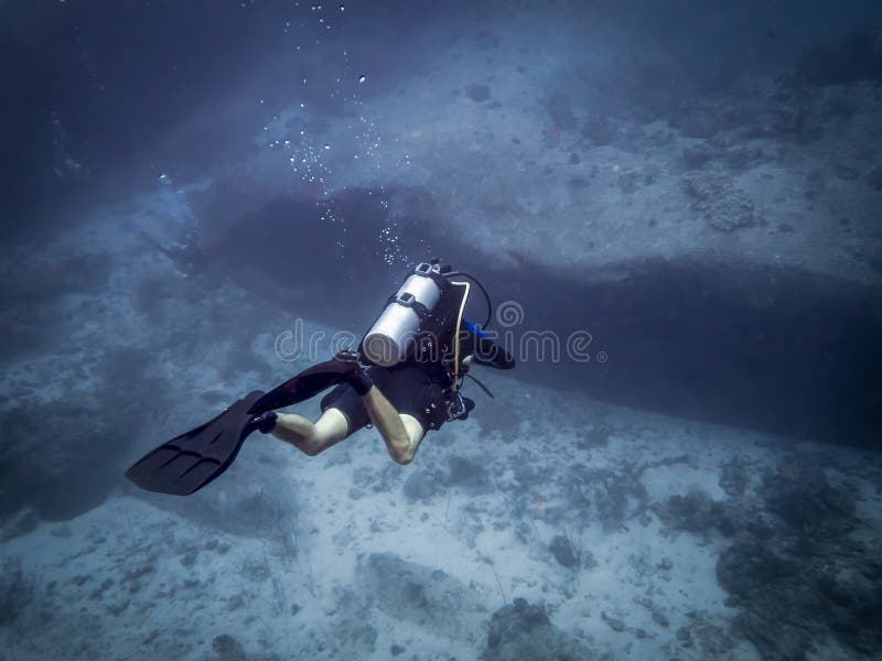 A Diver Hovering High Above the Bottom in the Indian Ocean Stock Image ...