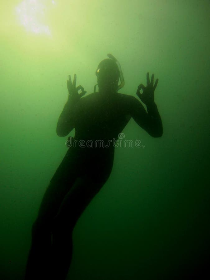 Scuba diver makes OK sign stock photo. Image of dive - 24559490