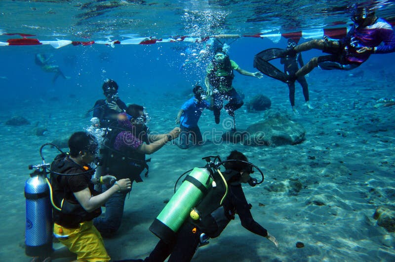 Diver editorial stock image. Image of leisure, diving - 58259179