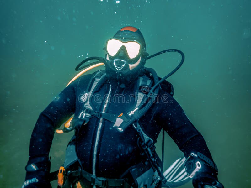 Diver rises to the surface stock photo. Image of grouper - 214656674