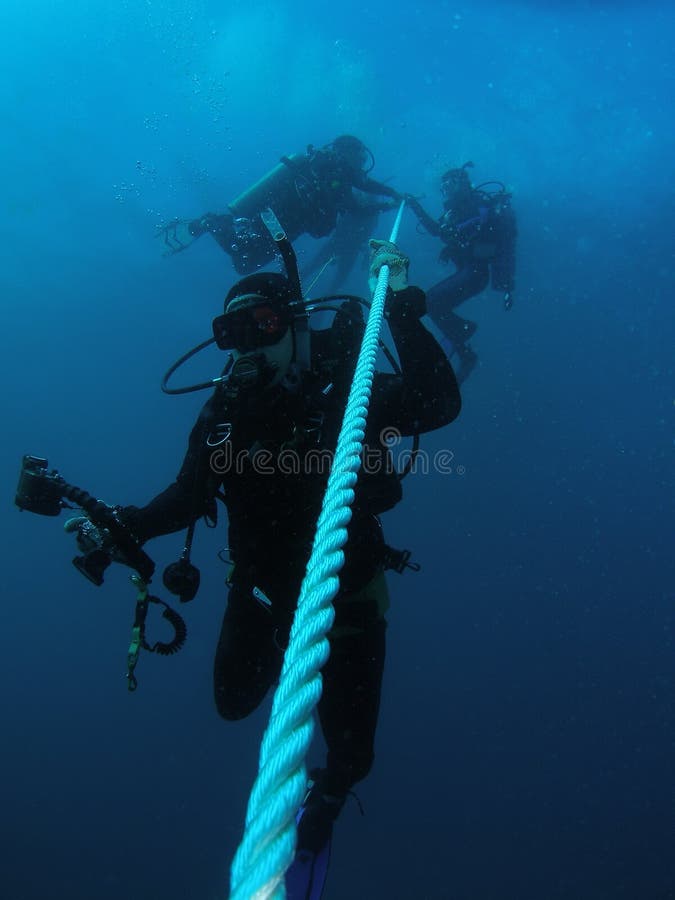 Diver at Safety Stop stock image. Image of beach, marine - 6169229