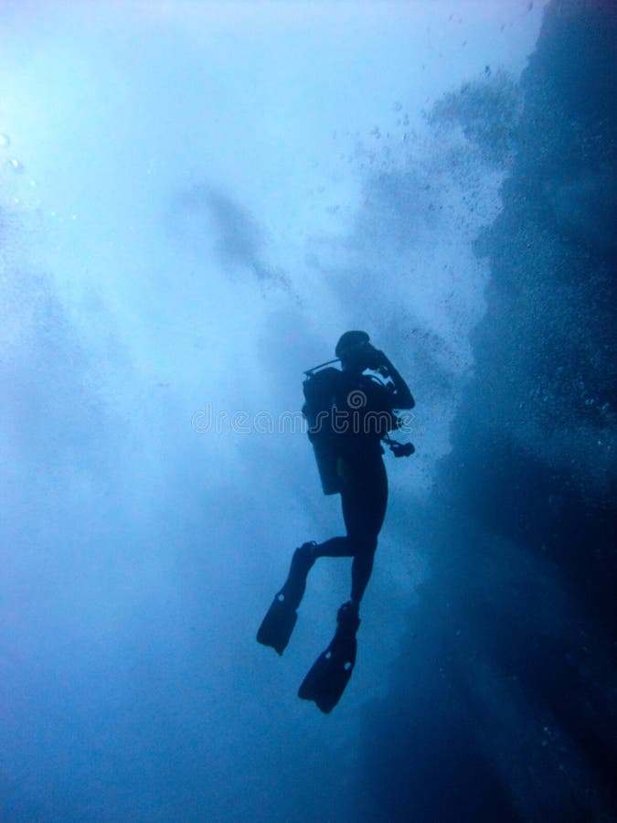 Diver stock photo. Image of life, diver, bubbles, divers - 50454298