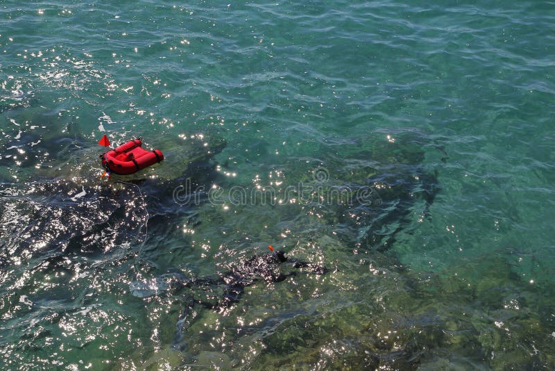 Diver in the sea stock photo. Image of people, ocean - 75548122