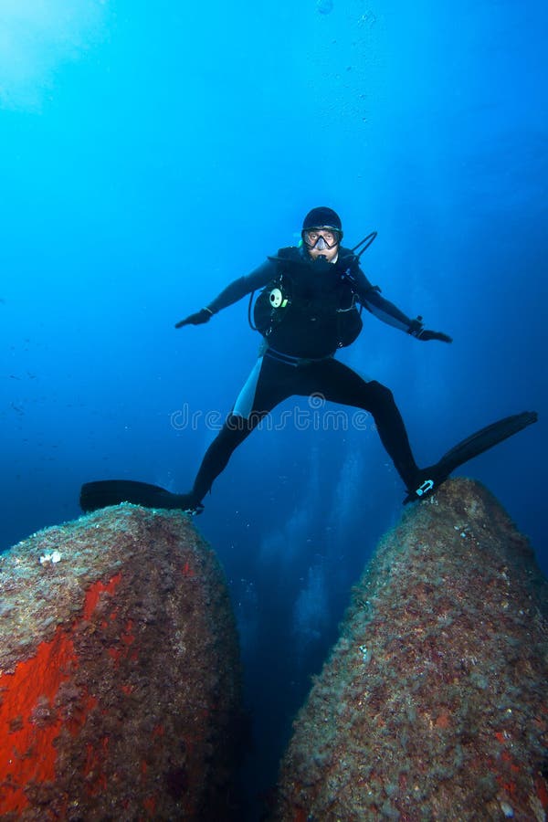 Diver stock image. Image of coral, bubbles, scuba, freedom - 62600431